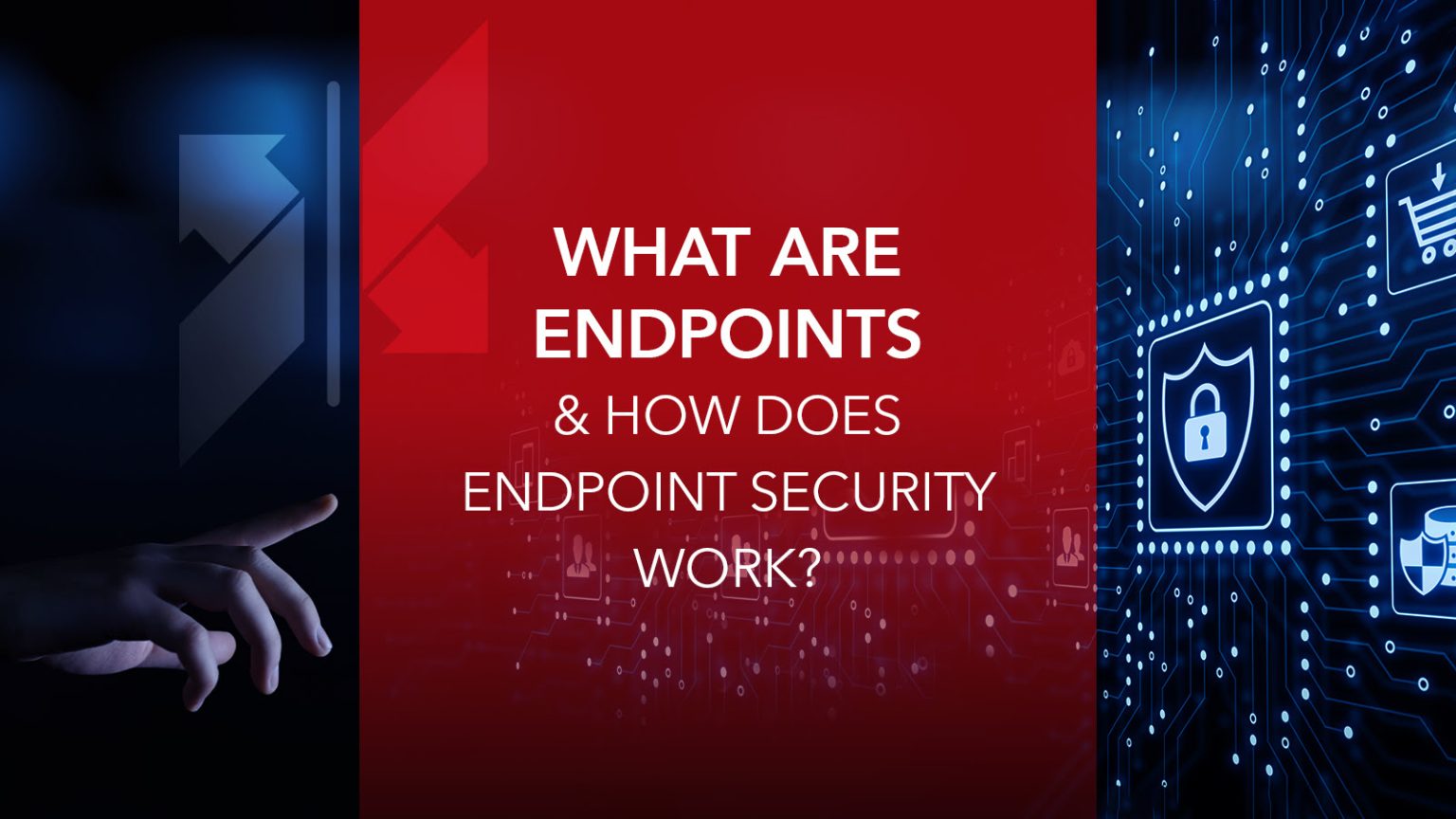 What Are Endpoints (& How Does Endpoint Security Work)?